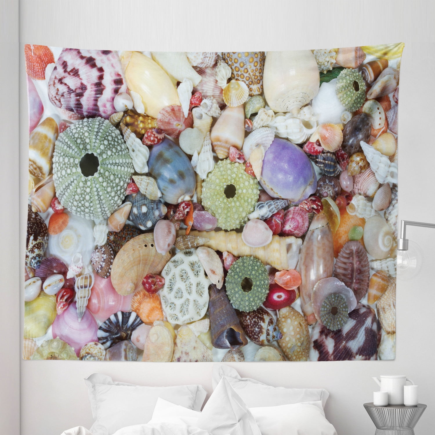 Shell Tapestry, Closeup Photo of Various Colorful Big Little Seashells ...