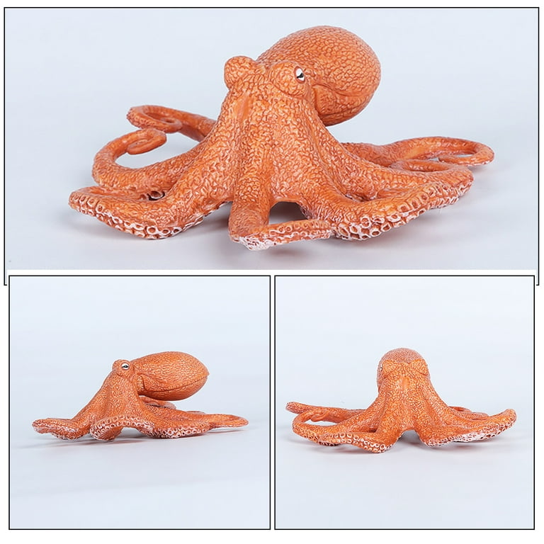Octopus Photos For Kids