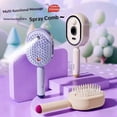 Electric Spray Air Cushion Massage Comb, 3-In-1 Electric Steam Hair ...
