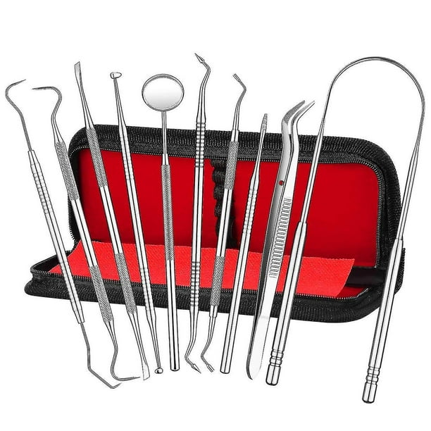 10-Piece Set Dental Care Set,Stainless Steel Dentist Instrument,Dental ...
