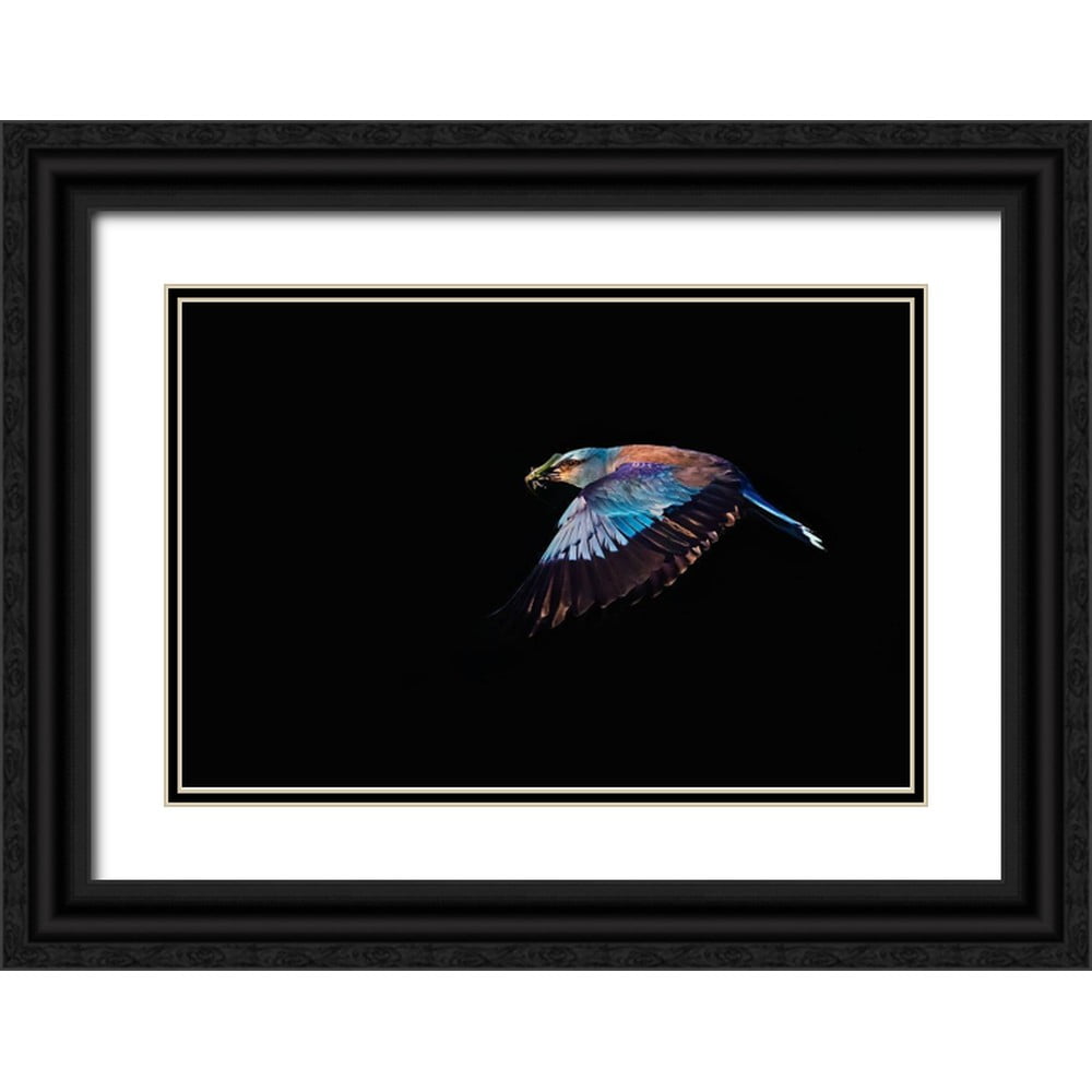 Chang, Phillip 24x17 Black Ornate Wood Framed with Double Matting ...