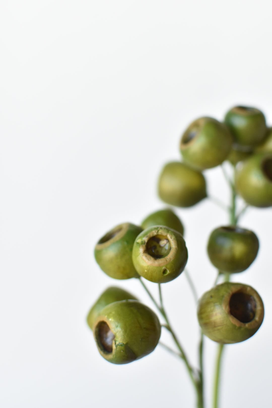 19" Faux Green Pod Stem - Walmart.com