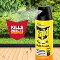 Raid Indoor & Outdoor Bug Spray, Multi Insect 7, Kills Spiders & Flying ...