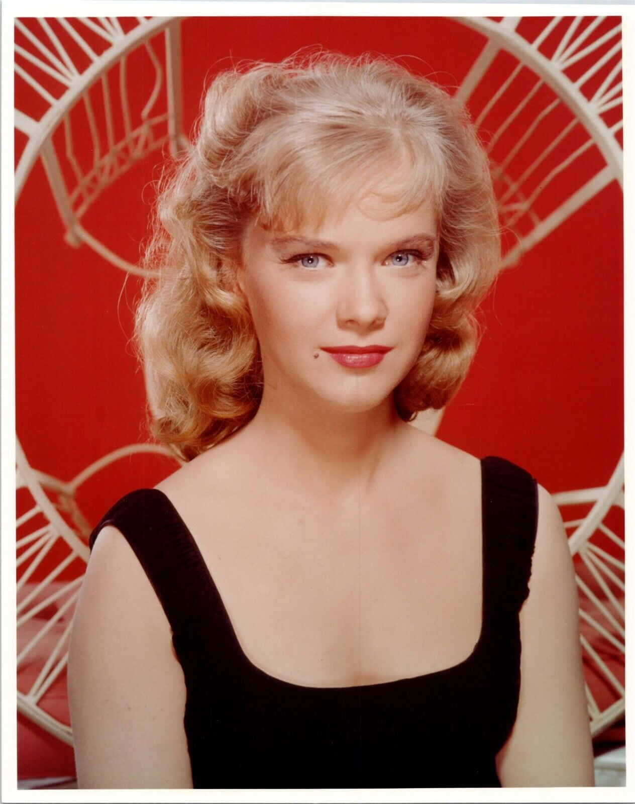 Anne Francis beautiful vintage 1970's 8x10 photo studio portrait in ...