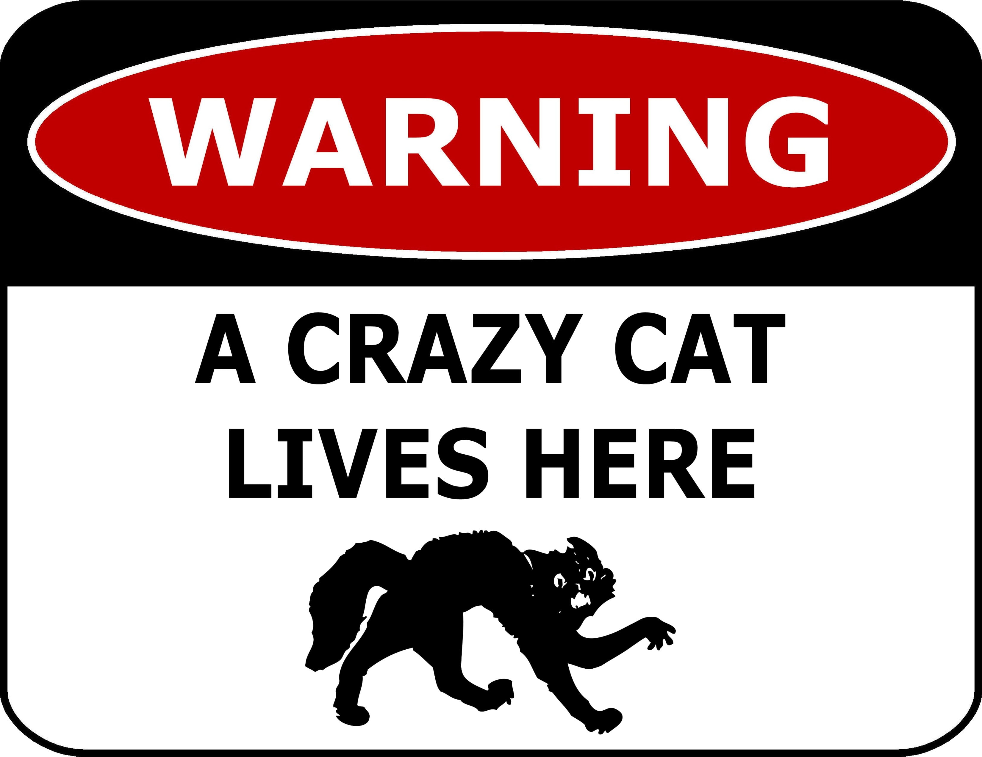 Flashing Blinking Red LED Laminated Funny Sign Warning A Crazy Cat ...