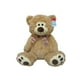 Kid Connection Holiday Teddy, 18" Plush Teddy, ages 3+ - Walmart.ca
