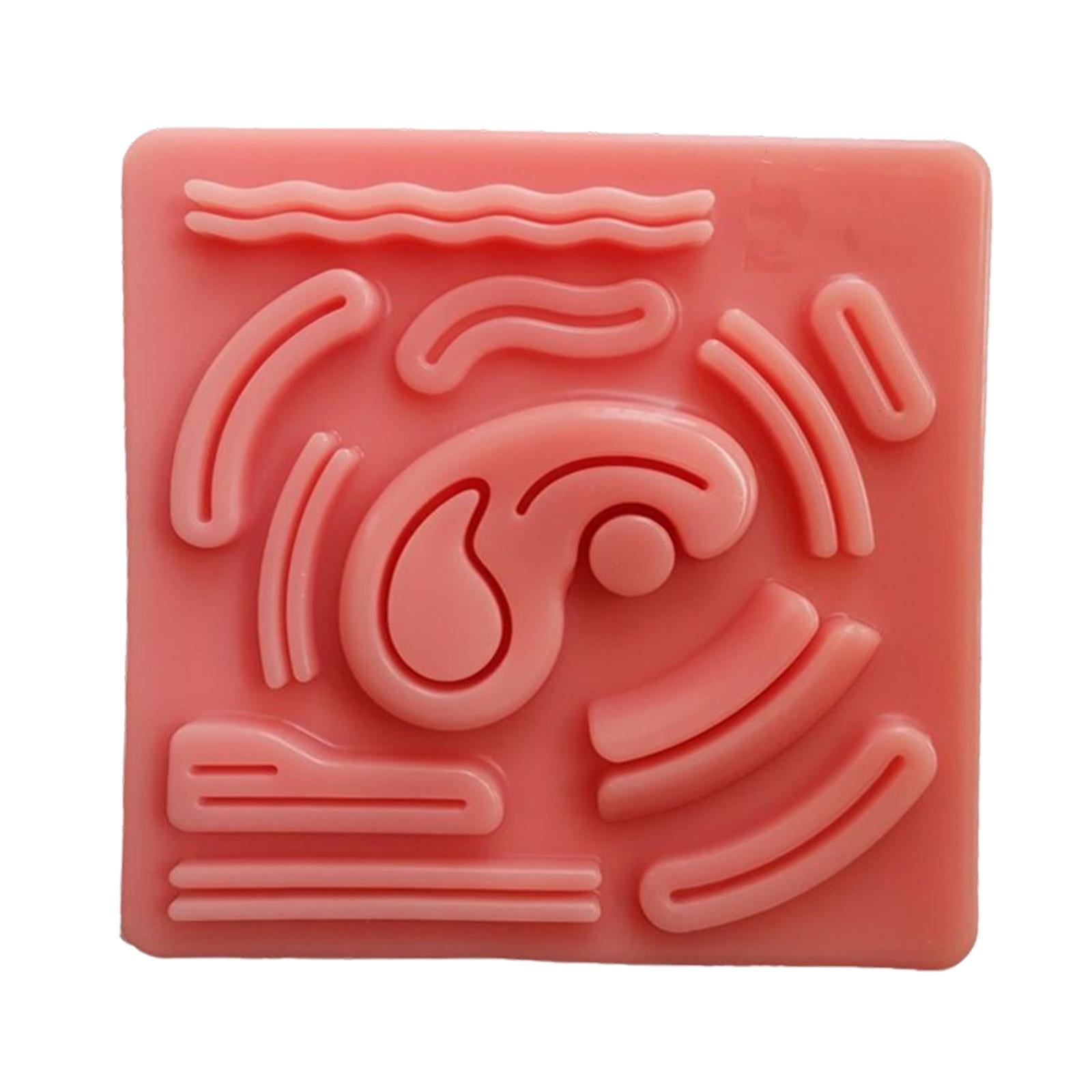 Simulation Abdominal Cavity Pad Model Durable Reusable Module Material ...