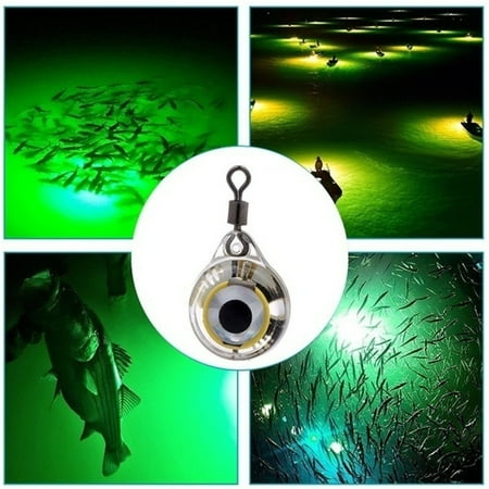 Luminous Fishing Lights Luminous Fishing Lights Night Fluorescent In ...