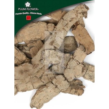 Mushroom Mojo Reishi Mycelium Plug Spawn - 100 Count Plugs - Grow ...