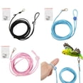 Bird Leash For Small Bird Parrots Outdoor 9.84Feet Elastic Pet Bird ...
