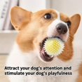 4 Spiky Pet Toy Balls, Interactive Chewing Training Balls for Small ...