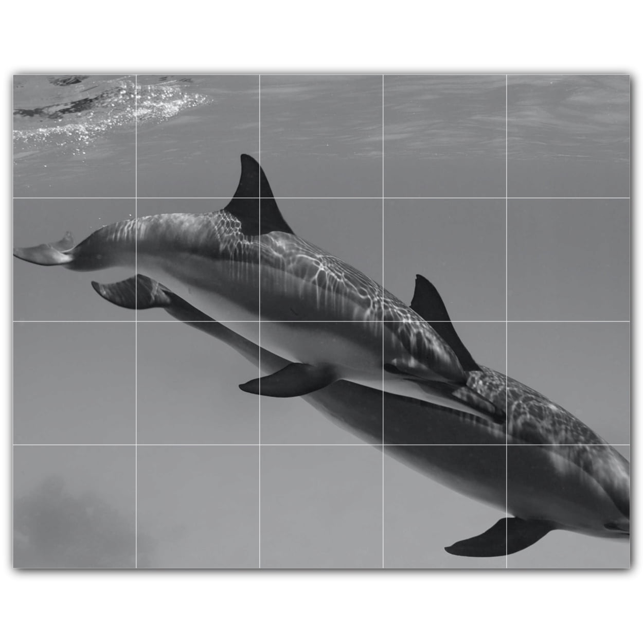 Picture-Tiles.com: Dolphin Ceramic Tile Wall Mural WAL500506-54L. 40"W ...