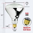 250 Watt R40 Clear Heat Lamp Bulb – Infrared Flood Reflector Light ...