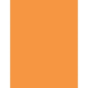 Pacon Neon Bond Paper 24 lb. 100 Sheets 8-1/2"x11" Neon Red 104315 ...