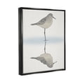 Free Shipping! Stupell Industries Coastal Sandpiper Bird Ocean Shore ...