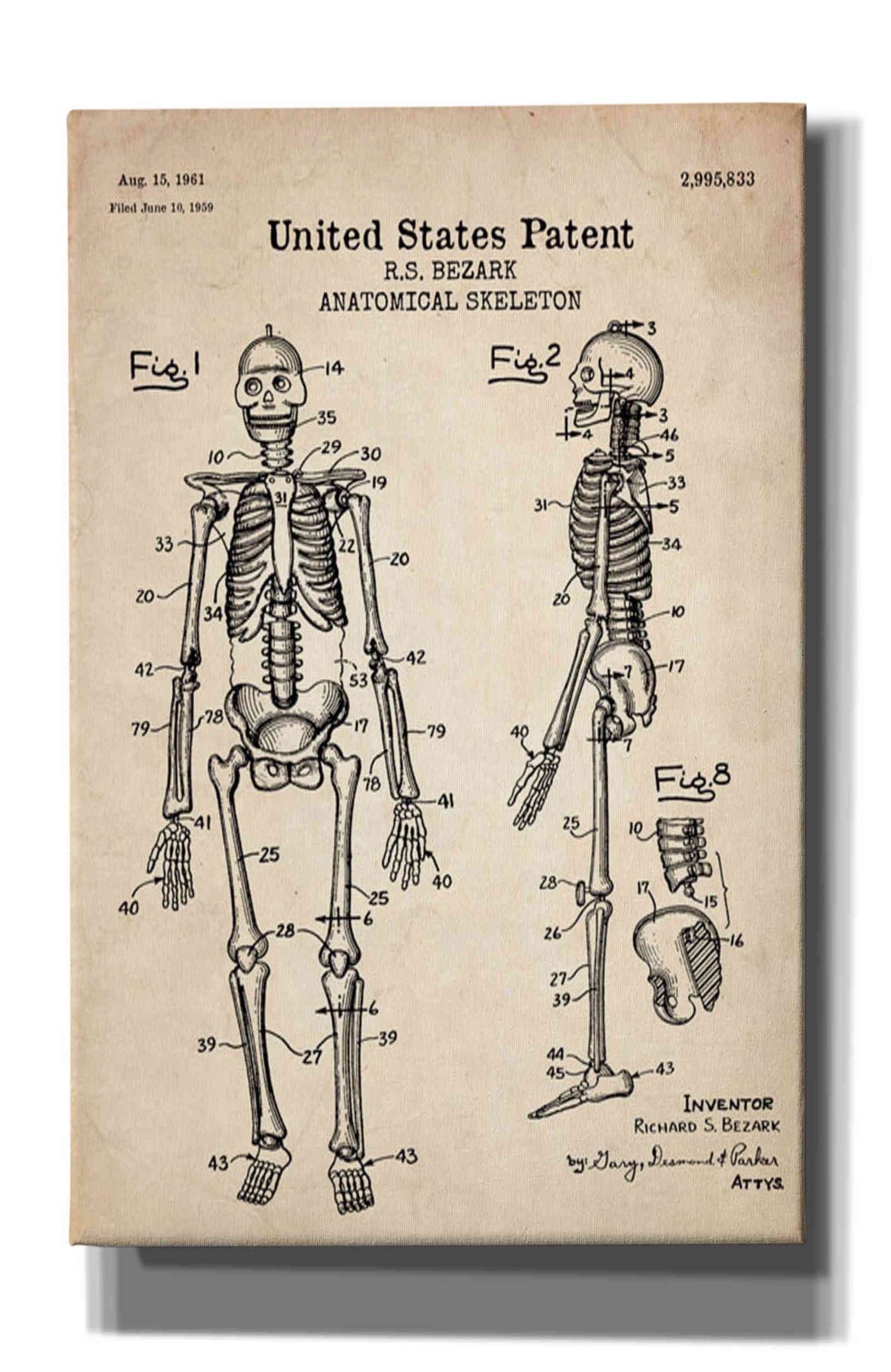 Epic Graffiti "Anatomical Skeleton Blueprint Patent Parchment" Giclee ...