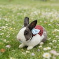 AOOOWER Comfortable Rabbit Harness for Pet Dogs No Pull Tuxedo ...