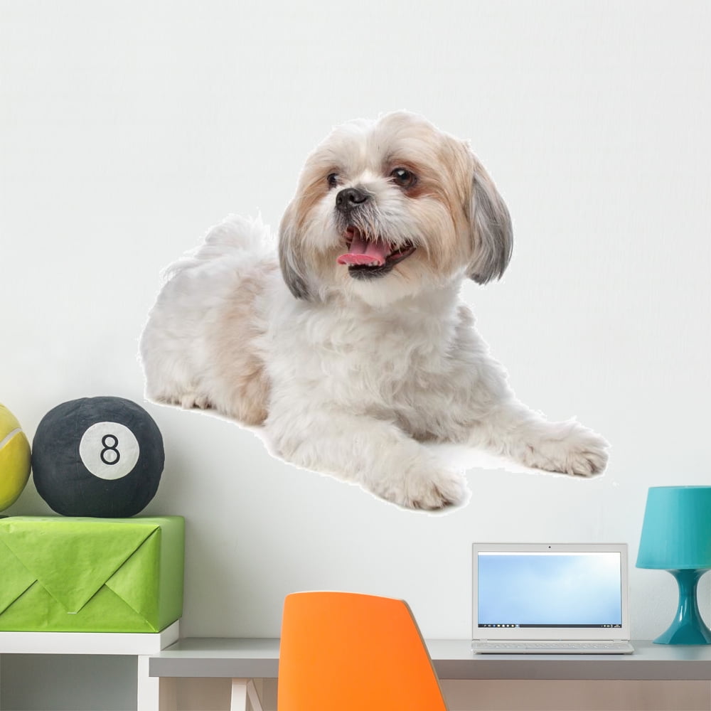 Shih Tzu Wall Decal by Wallmonkeys Peel and Stick Graphic (36 in W x 24 ...
