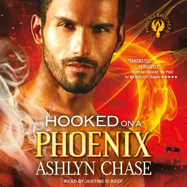 Phoenix Brothers: Hooked on a Phoenix (Audiobook) - Walmart.com