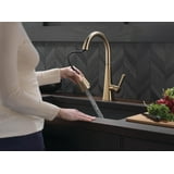 Delta Lenta Single-Handle Pull-Down Kitchen Faucet, Bronze, MagnaTite ...