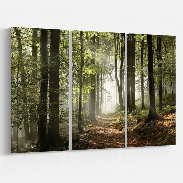 Designart Green Fall Forest with Sun Rays Canvas Wall Art - Walmart.ca