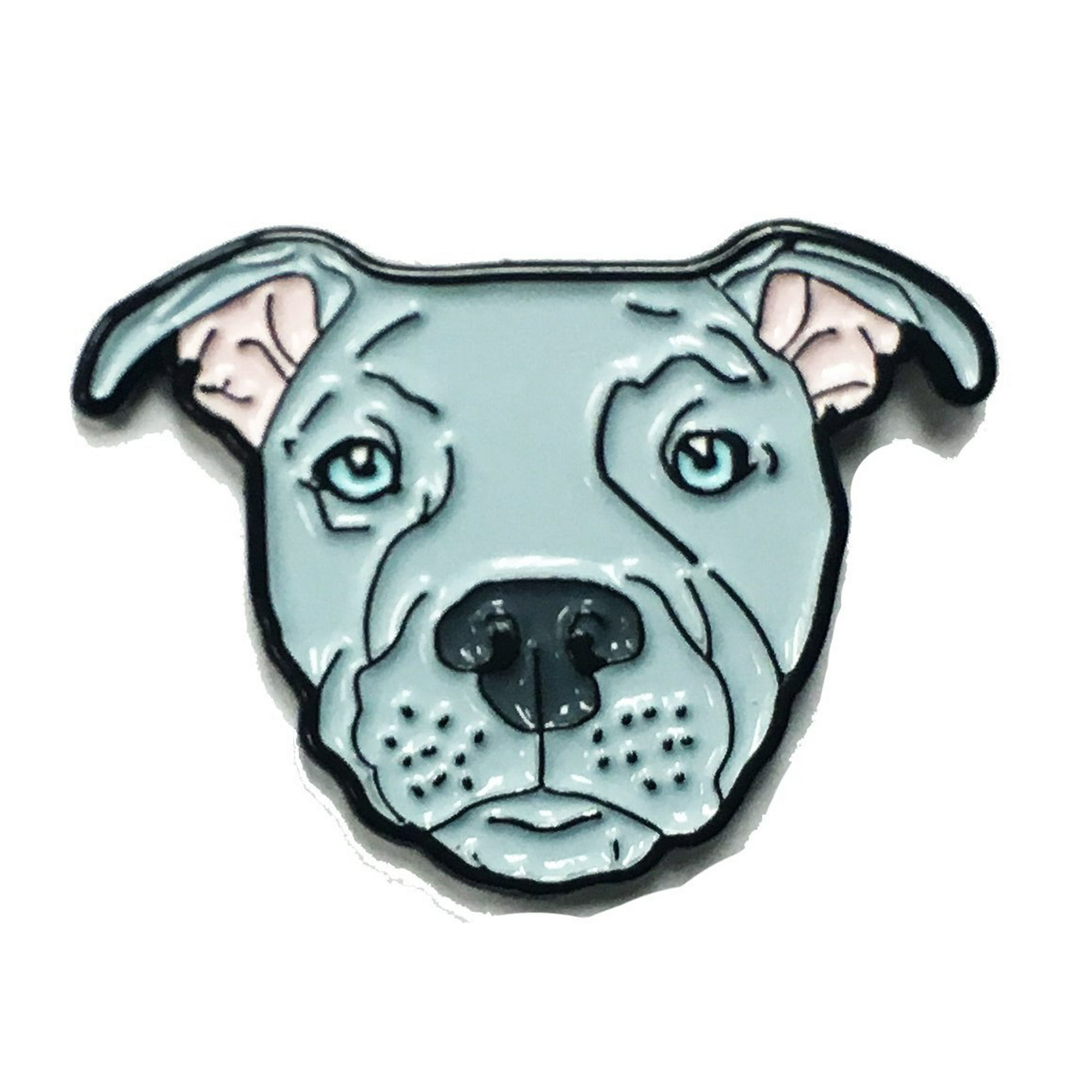 Blue Pit Bull Terrier