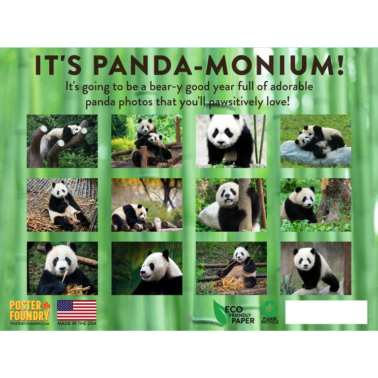 Giant Panda Life Cycle And Parts Of A Giant Panda Printable, 52% OFF