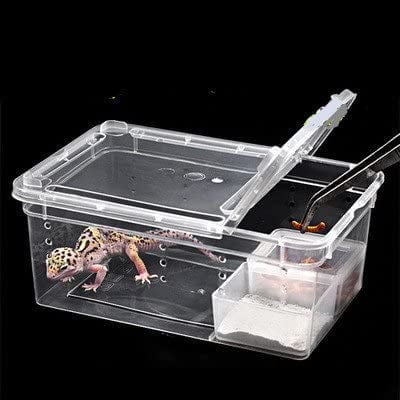 Walbest Reptile Box for Snake Turtle Breeding Box Case Feeding Hatching ...