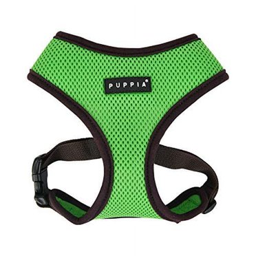 Bergan Auto Dog Harness, Small - Walmart.com