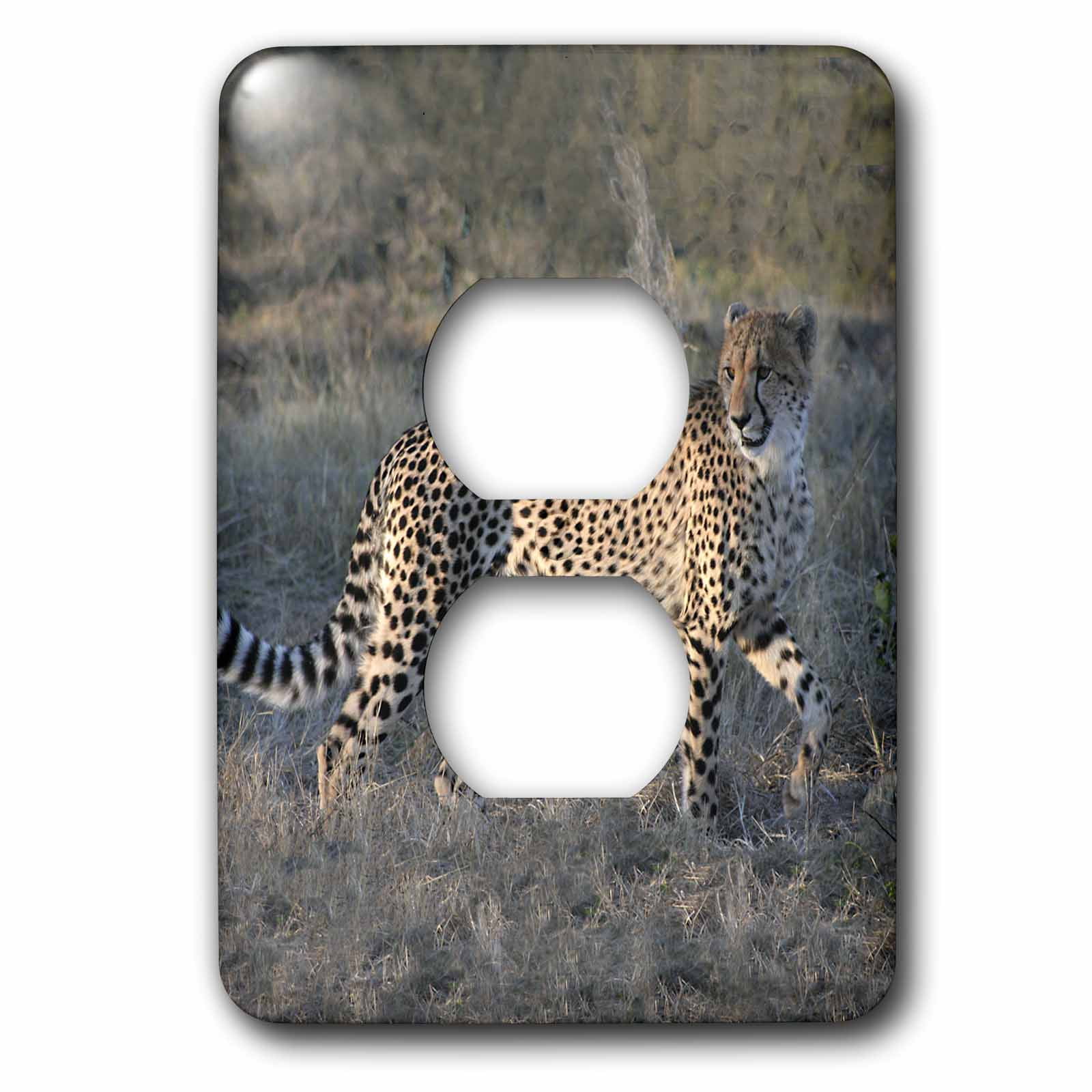 South African Cheetah trotting side view 2 plug outlet cover lsp-20112 ...