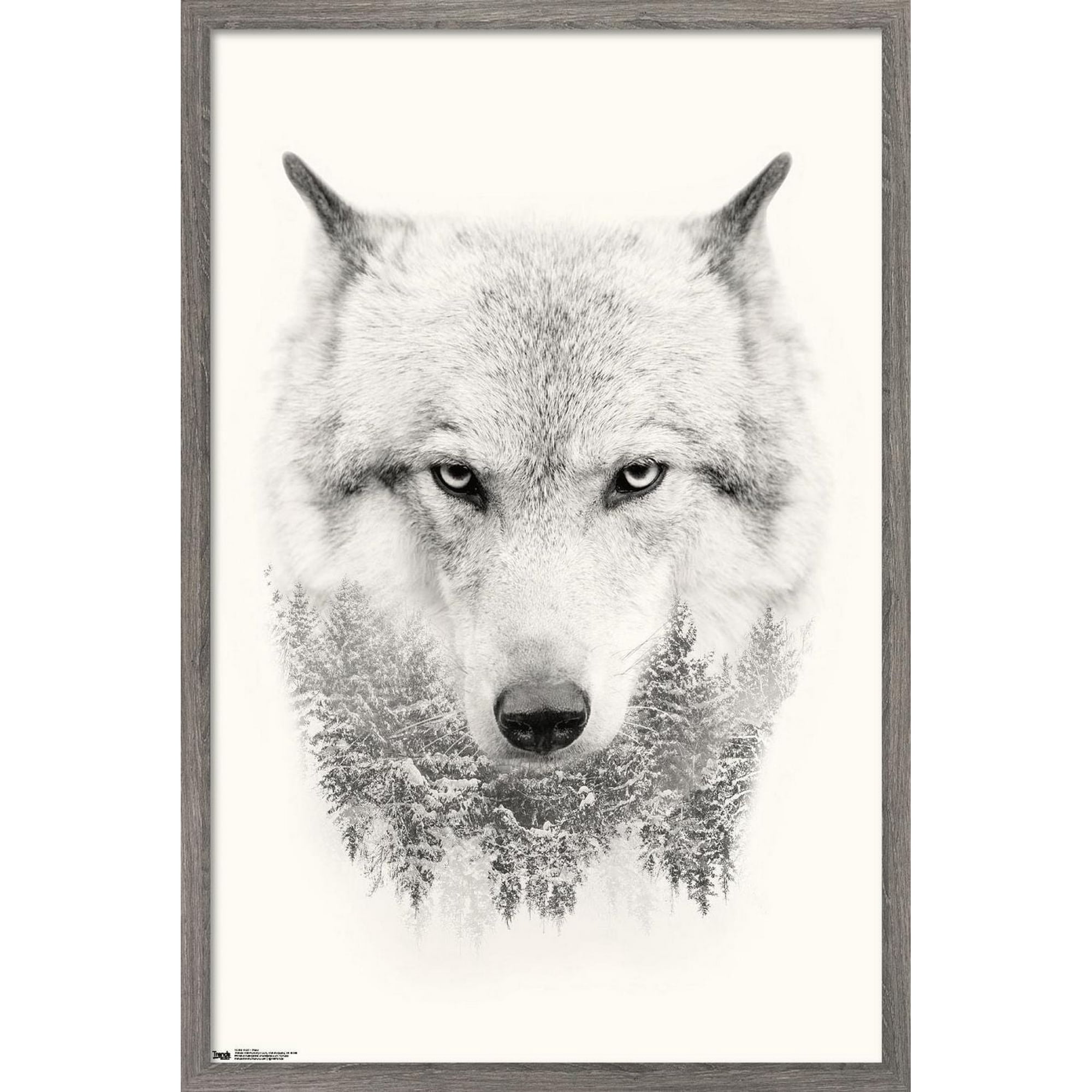 Click here for Trends International Wolf - Trees Wall Poster  22.... prices
