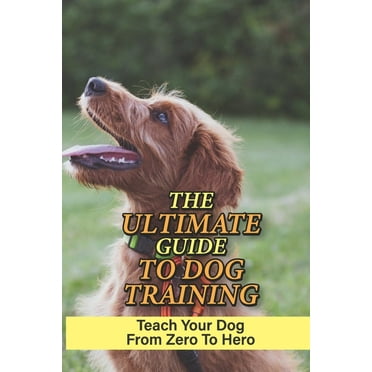 Essential Skills for Your Growly But Brilliant Fam: Calm walks with ...