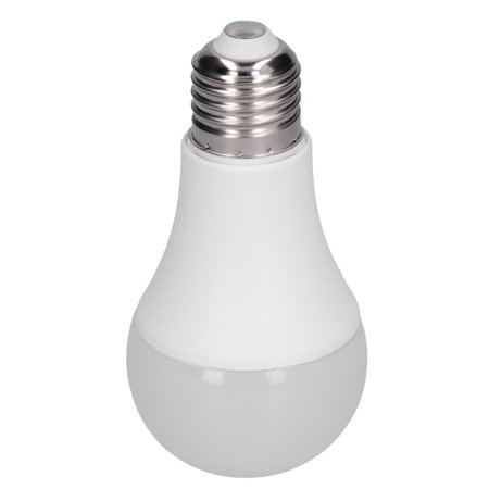 Ball Bulb, 12W Induction Bulb 1080lm For Night Lighting | Walmart Canada