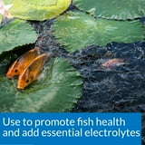 API Pond Salt, Pond Water Salt, 4.4 lb - Walmart.com