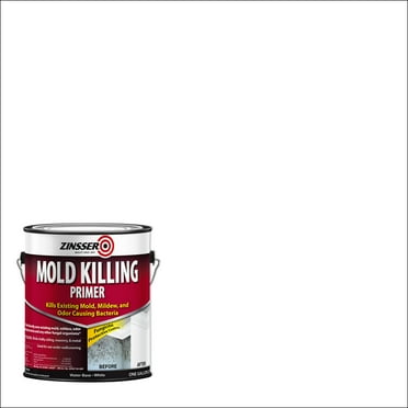 3 Pc Paint Kit with Tray - Walmart.com