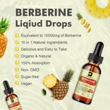 Beworths Berberine Supplement, Liquid Drops with Turmeric for Immunity ...