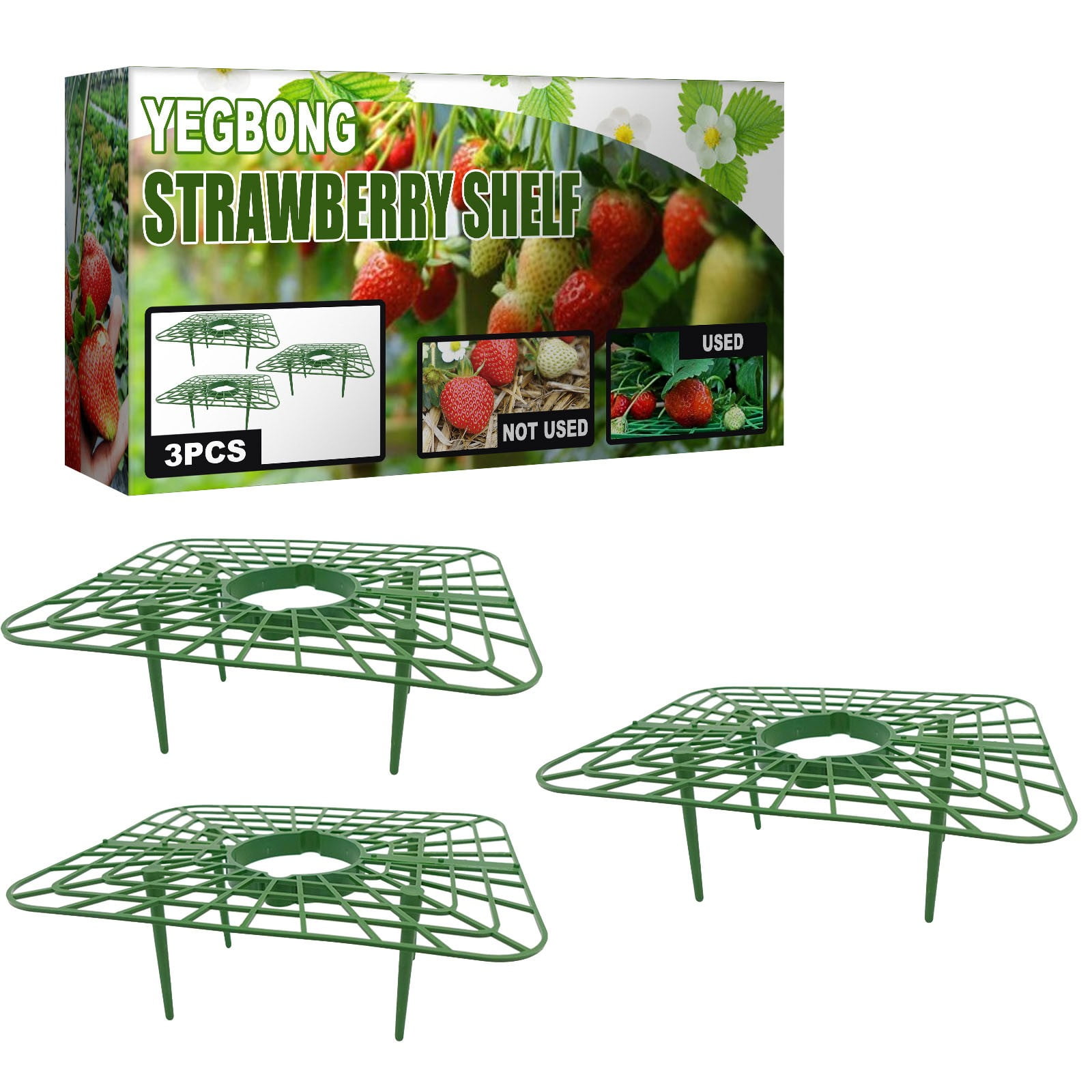 Strawberry Plant Kit