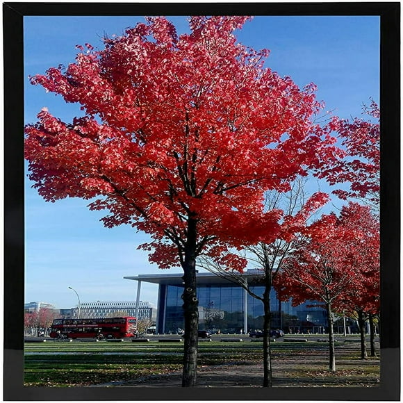 11x17 Frames | Walmart Canada