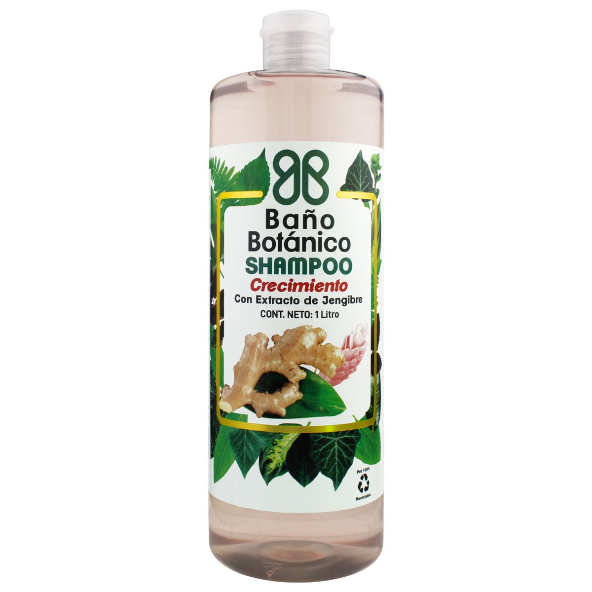 Shampoo Crecimiento Baño Botánico 1 Litro con extracto de Jengibre ...