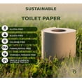 Eco Toilet Paper, 12 Rolls, 3-Ply, 300 Sheets, Unbleached , -, -, Vegan ...