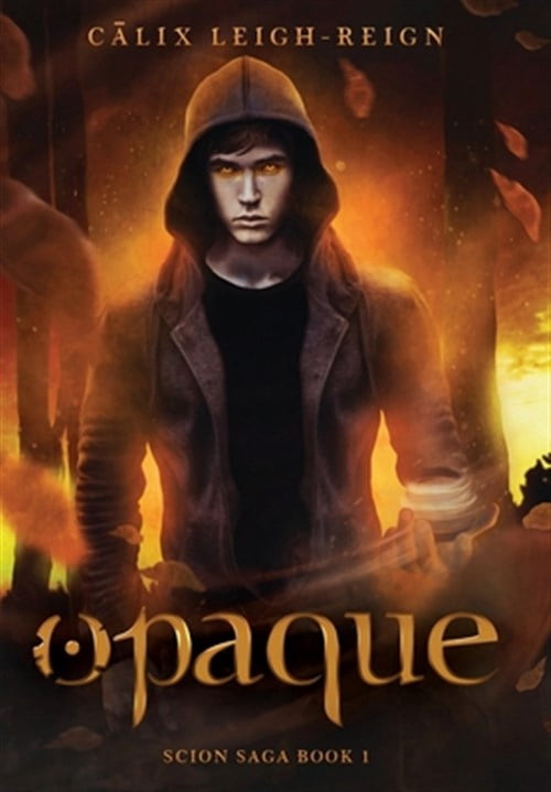 Pre-Owned Scion Saga: Opaque: Scion Saga Book 1 (Hardcover) - Walmart.com