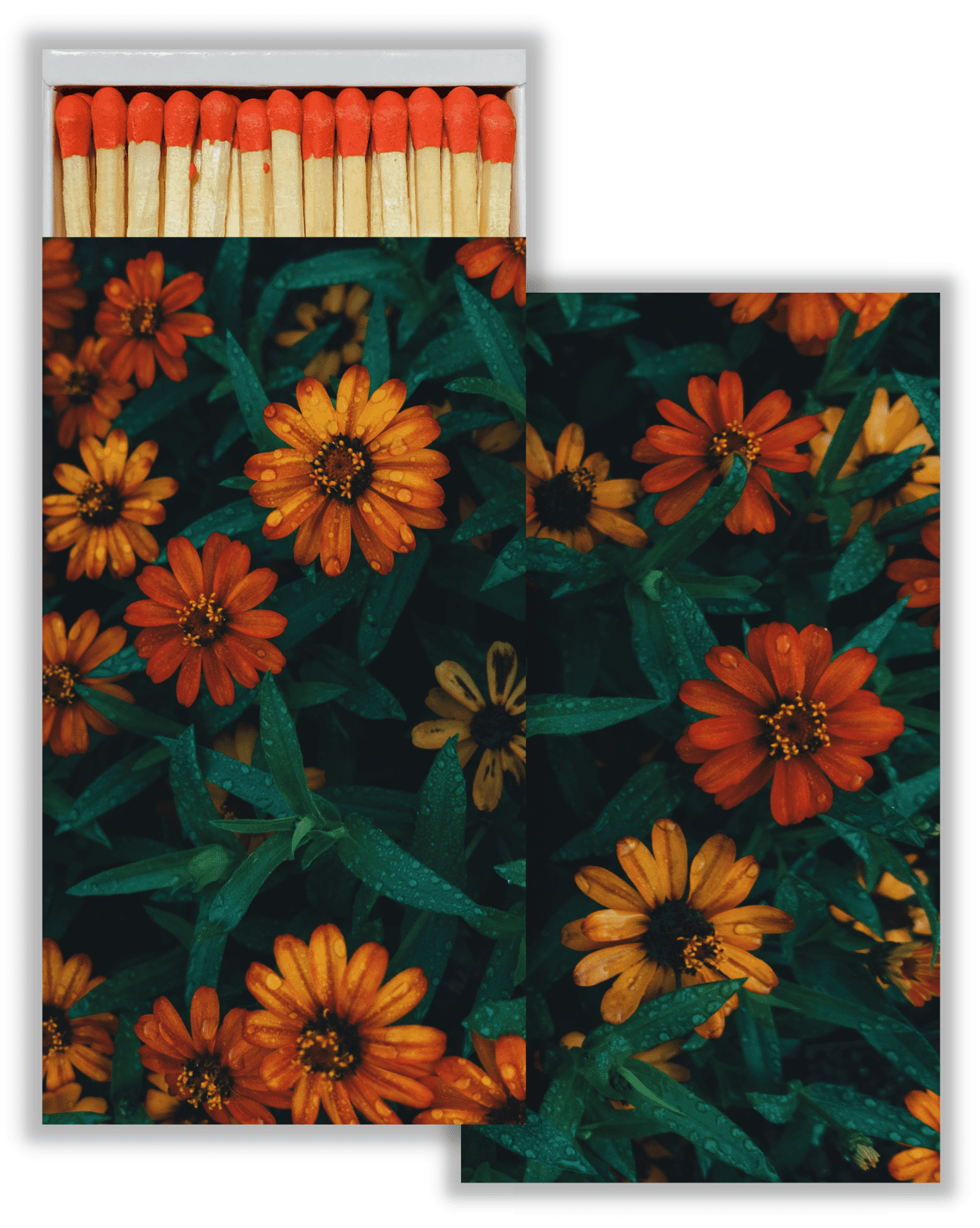 Zinnias Decorative Matchboxes with Wooden Matches | One Box - Walmart.com