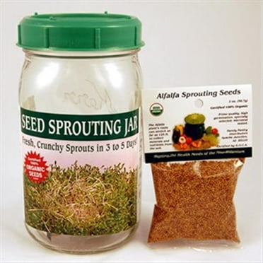 5 Part Salad Sprout Seed Mix -1 Lbs- Organic Sprouting Seeds: Radish ...