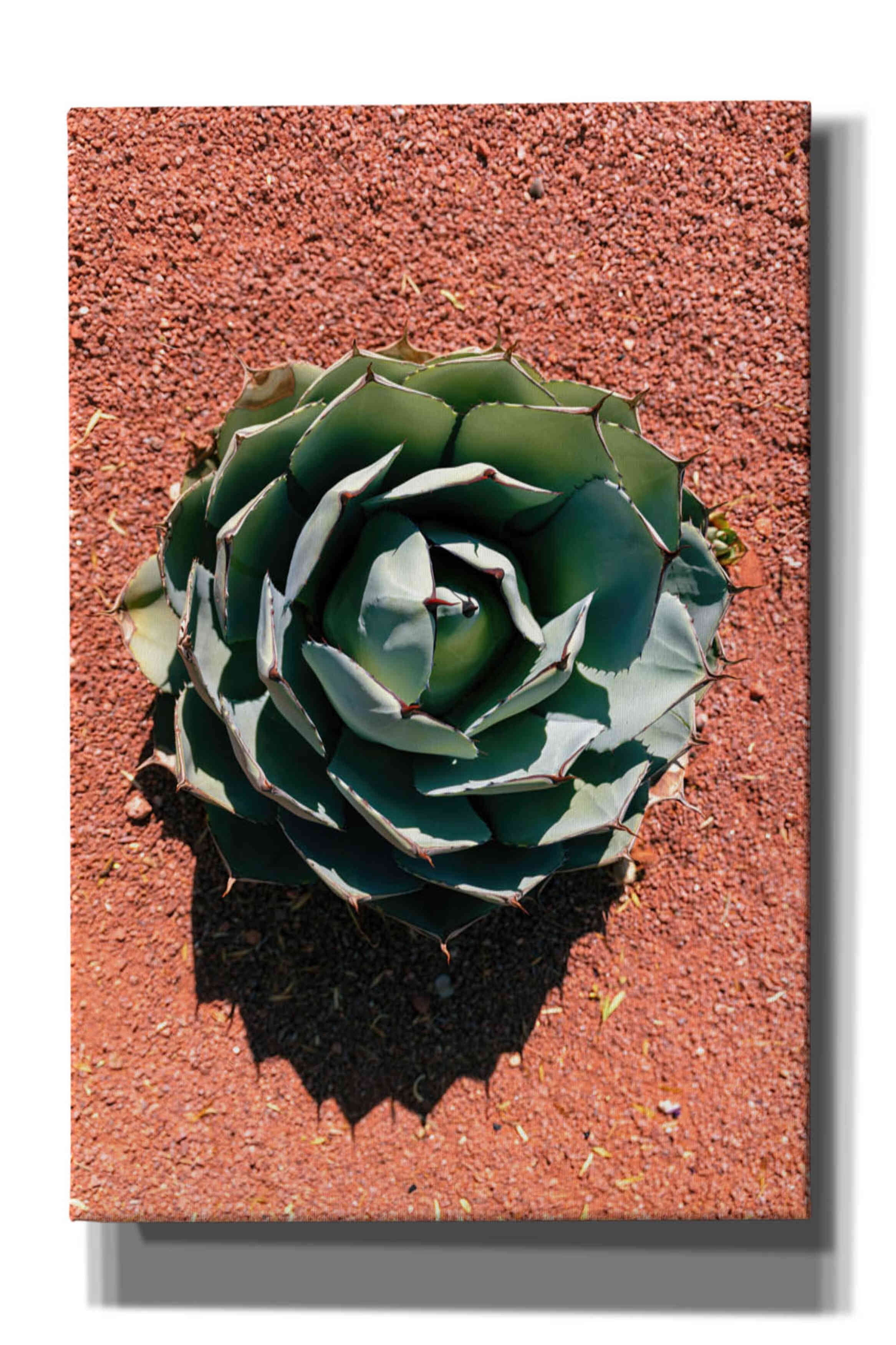 Epic Graffiti 'Utah - Cactus 3' by Epic Portfolio, Canvas Wall Art, 12 ...