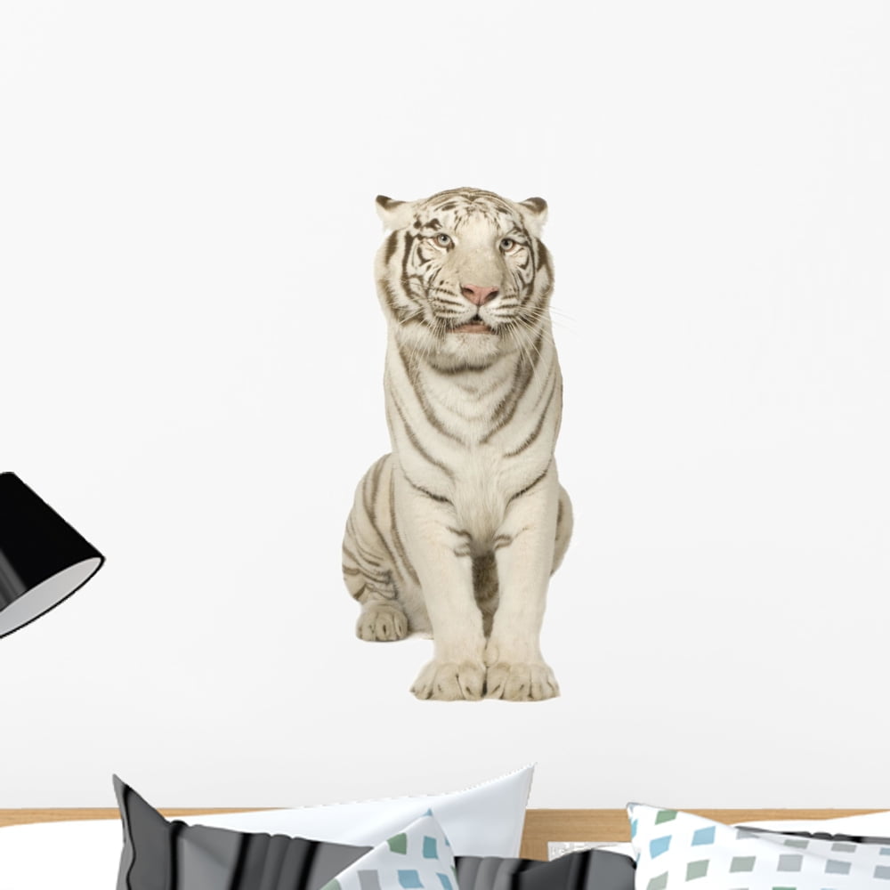 White Tiger 3 Years Wall Decal Sticker by Wallmonkeys Vinyl Peel and ...