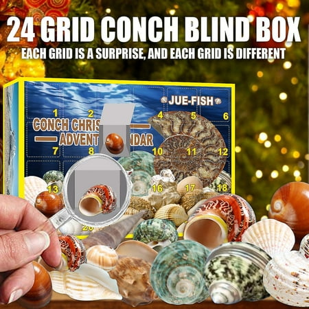 Jue-fish Conch Blind Box Christmas Conch Blind Box Christmas 24 Days ...