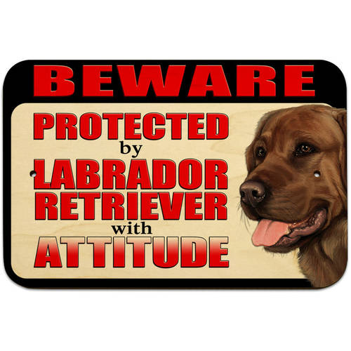 Beware Protected by Labrador Retriever with Attitude - Chocolate Lab ...