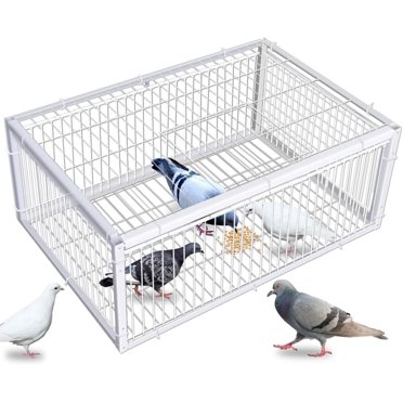 Humane Live Pigeon Trap Cage, Escape-Proof & One-Way Entry, Safe ...