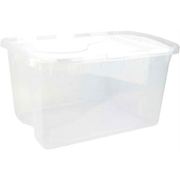Sterilite Hinged Storage Boxes