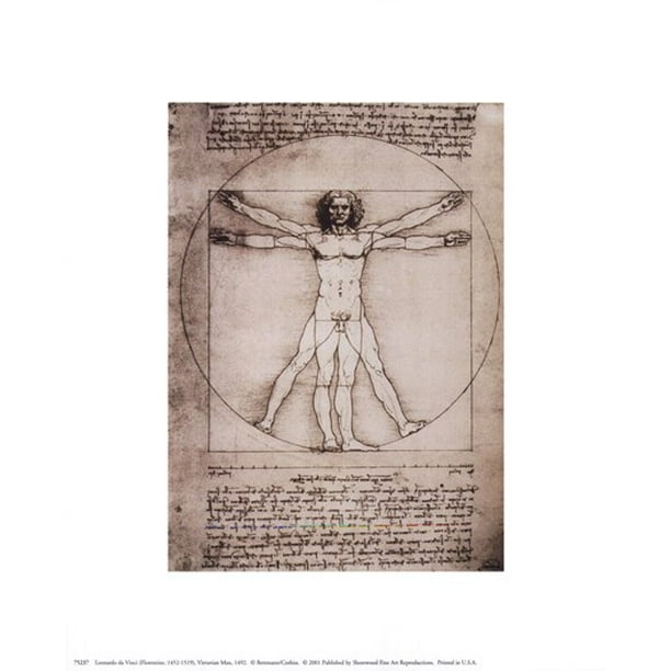 Leonardo Da Vinci Vitruvian Man